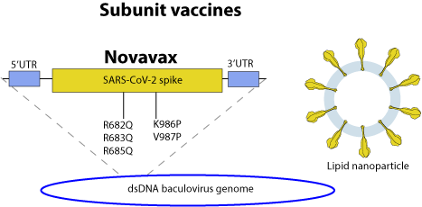 COVID-19 vaccines ~ ViralZone