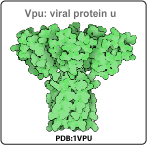 VPU-page ~ ViralZone