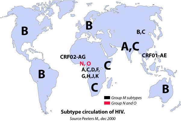 Hiv Genome Viralzone Page Animal & Human Viruses (article) | Viruses